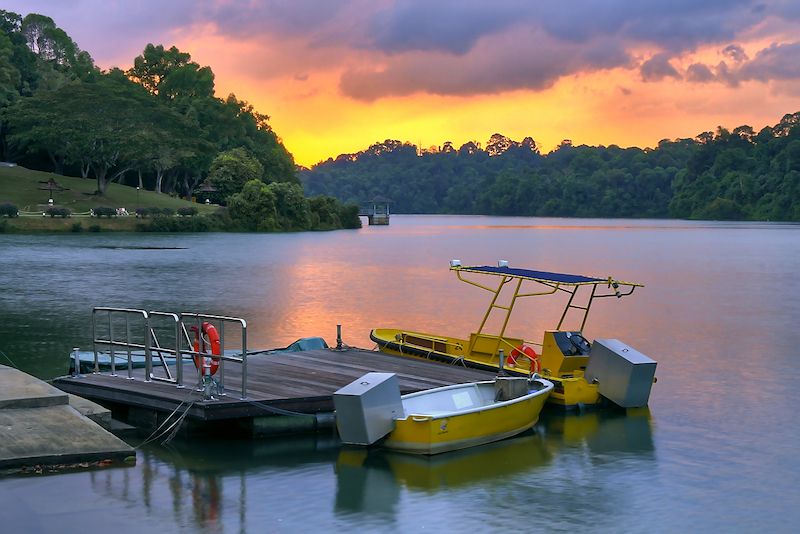5 Reasons To Visit MacRitchie Reservoir Park - Southeast Asia