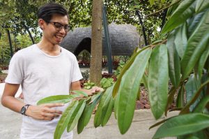 Learn, Watch & Shop With Gardens by the Bay - Southeast Asia