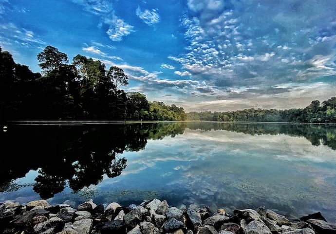 5 Fun Things To Do At MacRitchie Reservoir Park - Southeast Asia