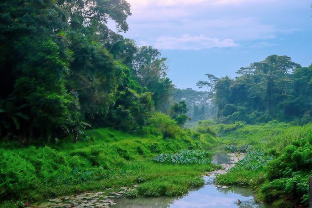 8 Must-Visit Spots On Singapore’s Revitalised Rail Corridor - Southeast ...